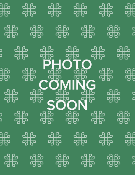 Zesty Parm | Production-Ready Seed | High-Quality Genetics – Phylos ...