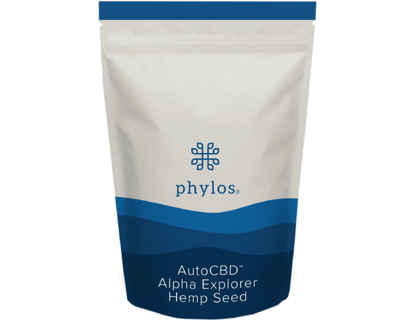 AutoCBD Alpha Explorer Hemp | Production-Ready Seed | High-Quality ...
